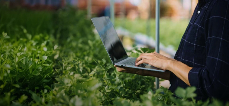 Careers | NTF Intergroup (Thailand)